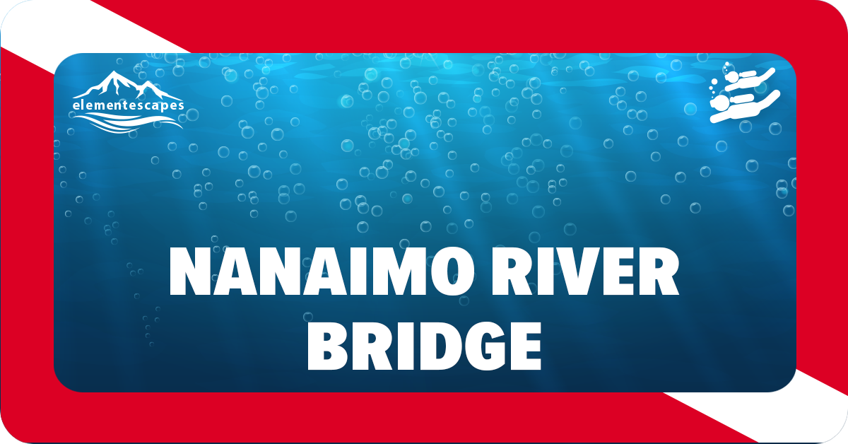 Nanaimo River Bridge Dive Site | Element Escapes