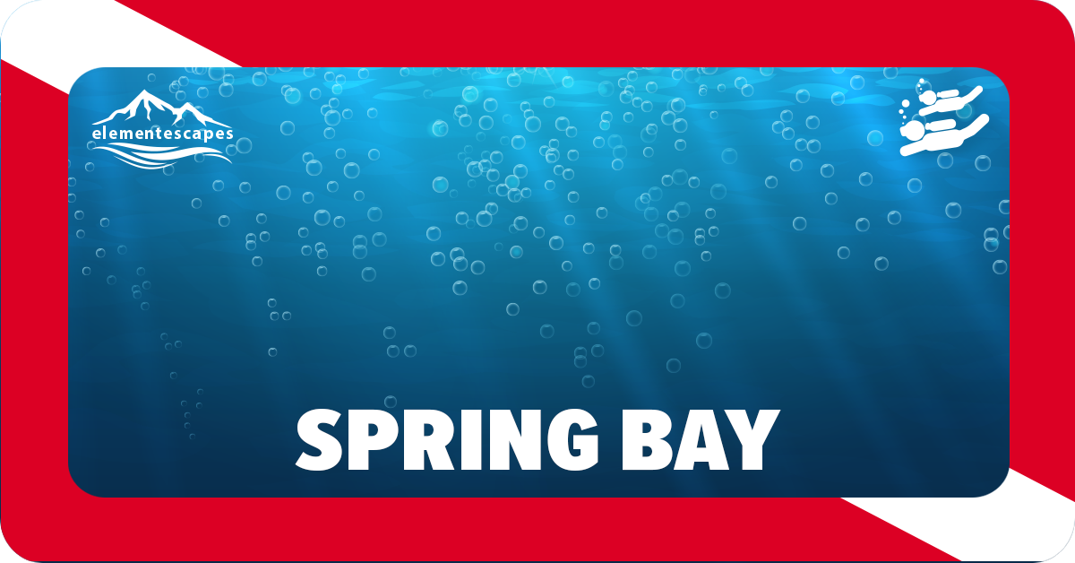 Spring Bay Dive Site | Element Escapes